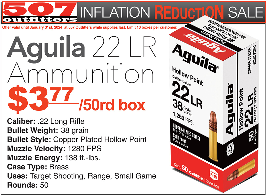 Aguila .22 LR 38gr Ammo – 507 Outfitters